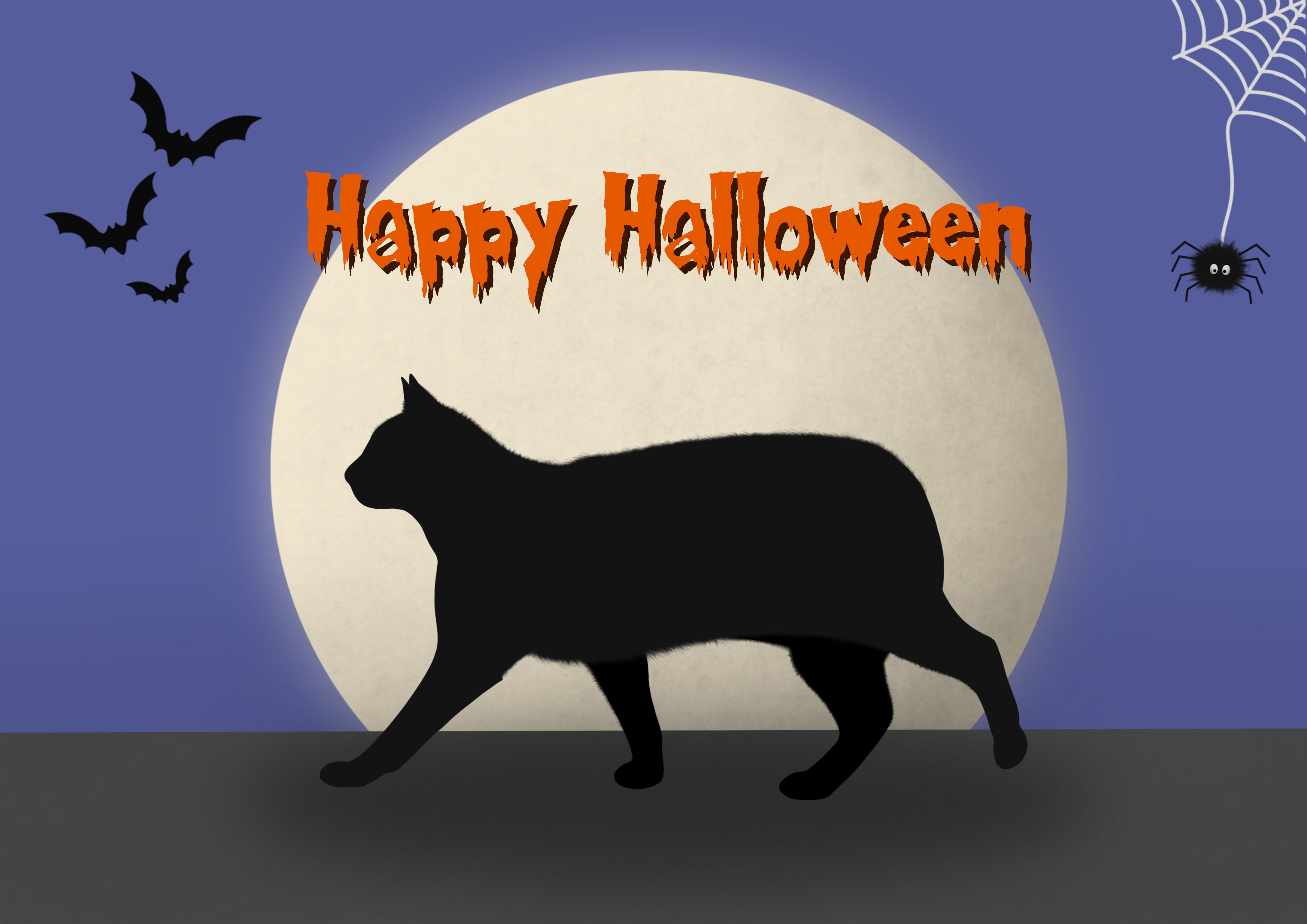 Pin The Tail on The Black Cat - Halloween Game FREE – Not Just A Print